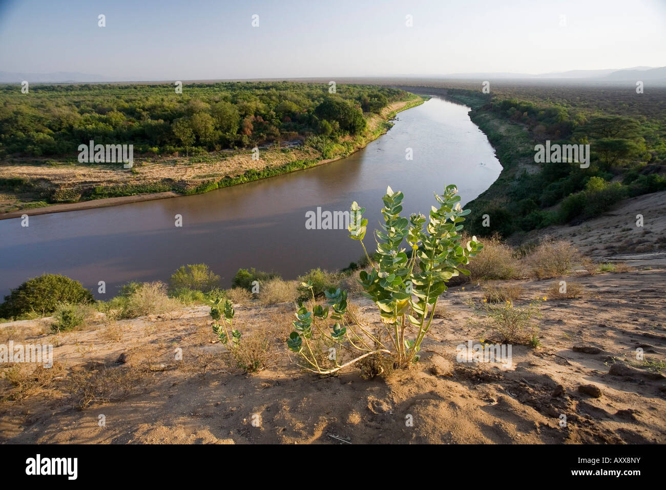Omo River, Lower Omo Valley, southern Ethiopia, Ethiopia, Africa Stock ...