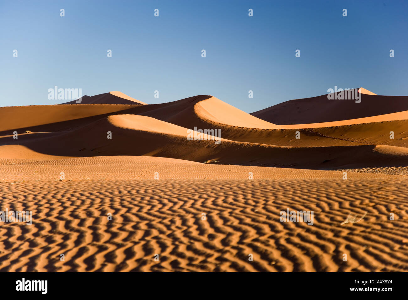 Dune curves and ripples Stock Photo - Alamy