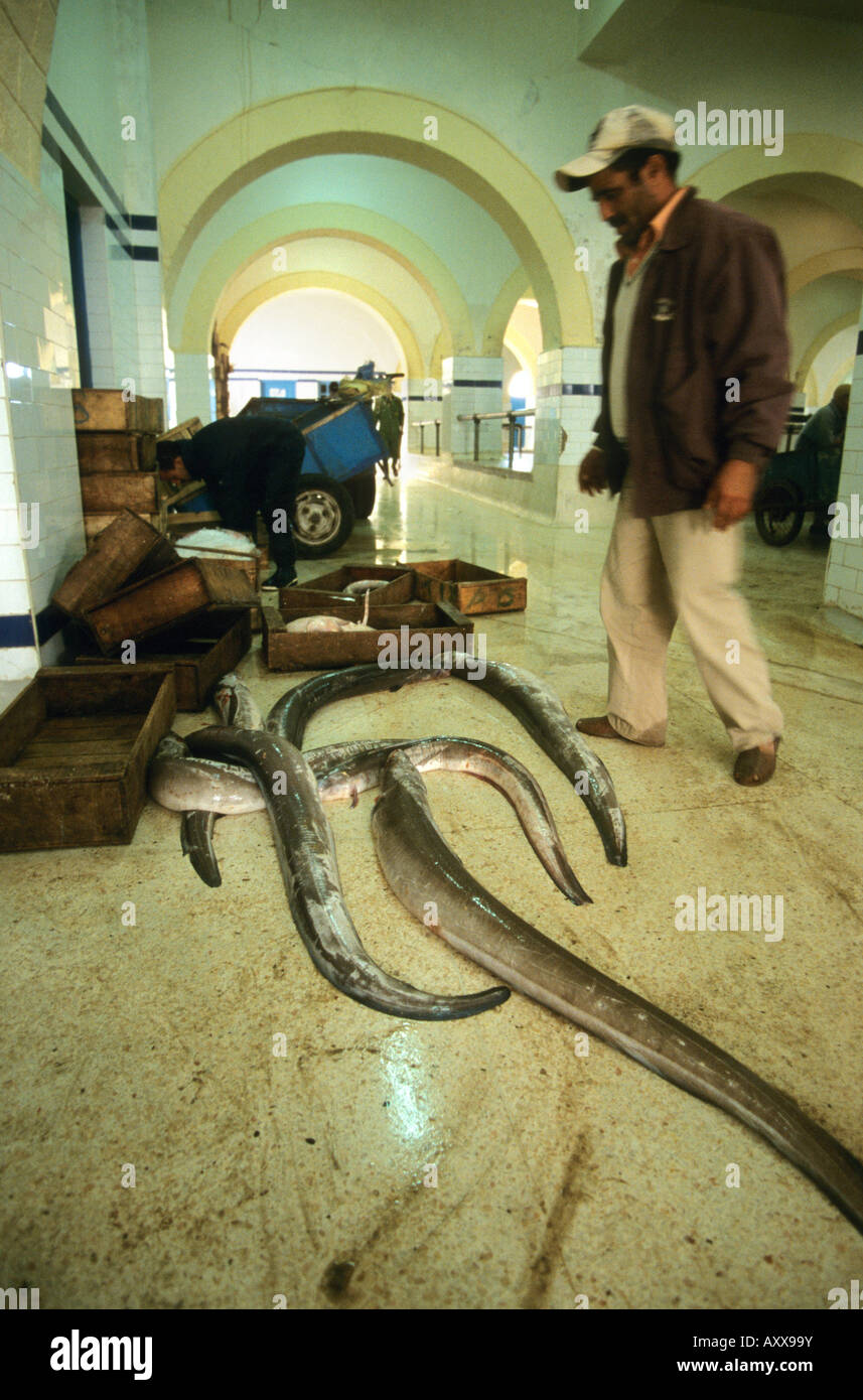 Fish market in the harbour of Essaouira Morocco Stock Photo - Alamy