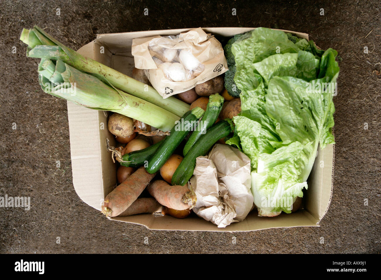 organic vegetable box Stock Photo - Alamy