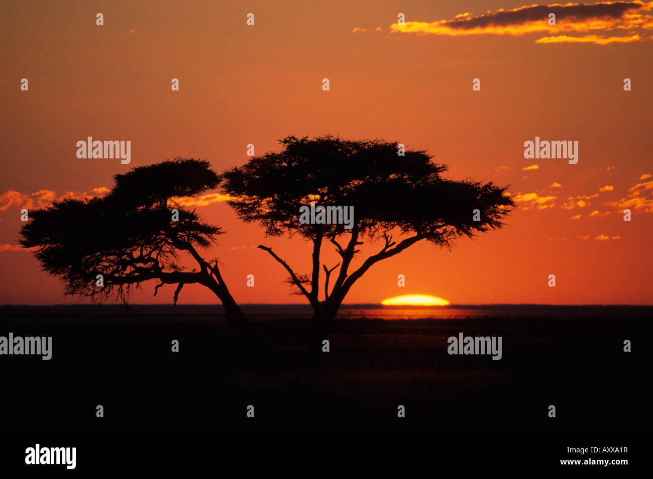 Sunset in Etoscha National Park, Etoscha National Park, Namibia Stock ...