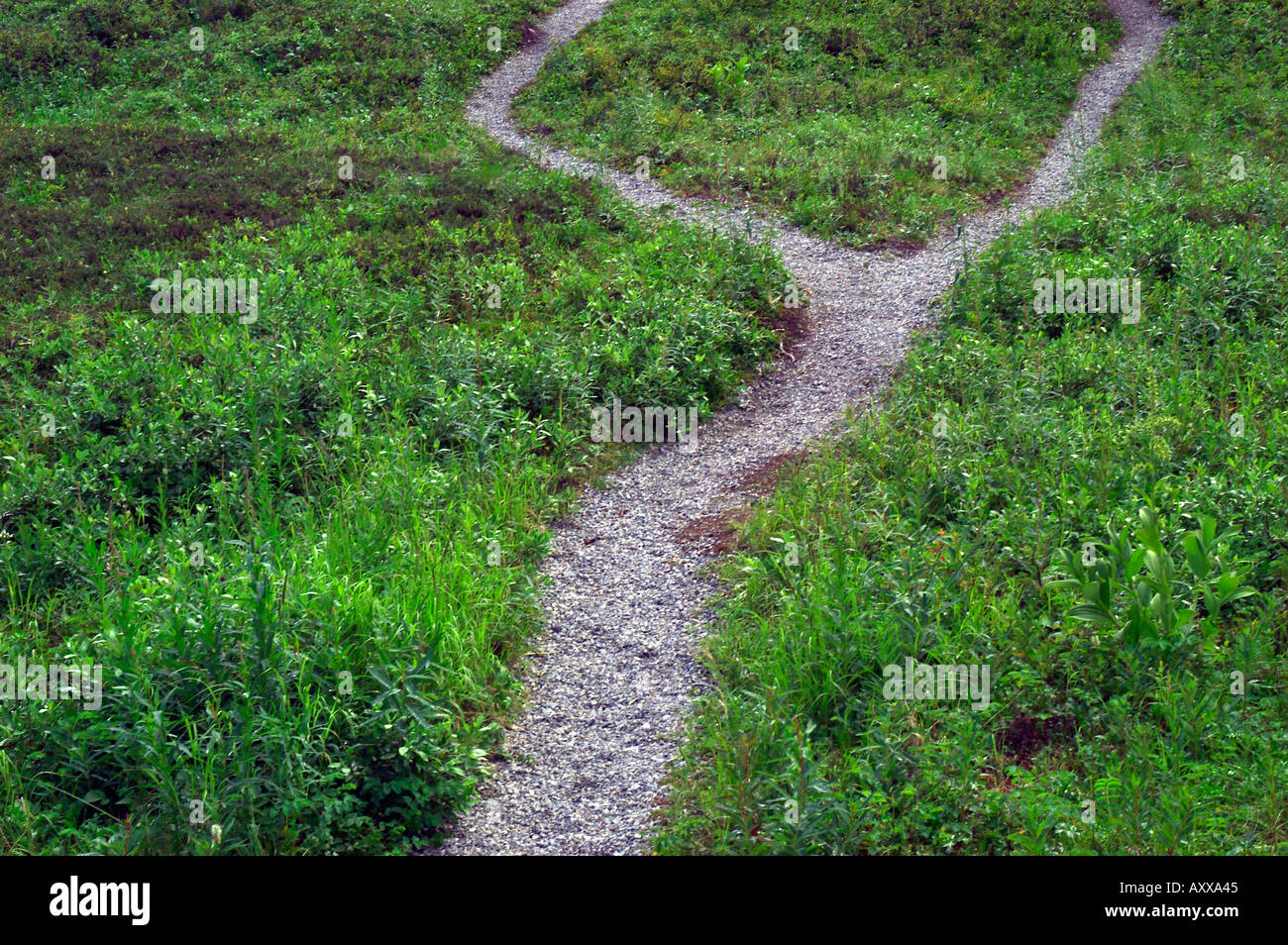Diverging path hi-res stock photography and images - Alamy