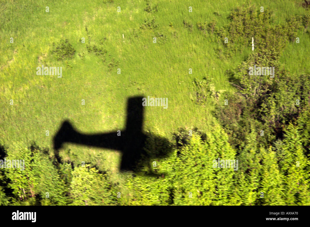 Plane shadow forest hi-res stock photography and images - Alamy