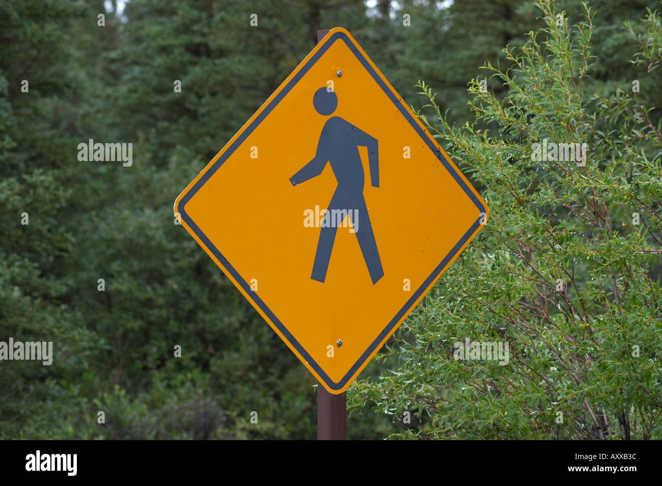 pedestrian walking sign Stock Photo - Alamy