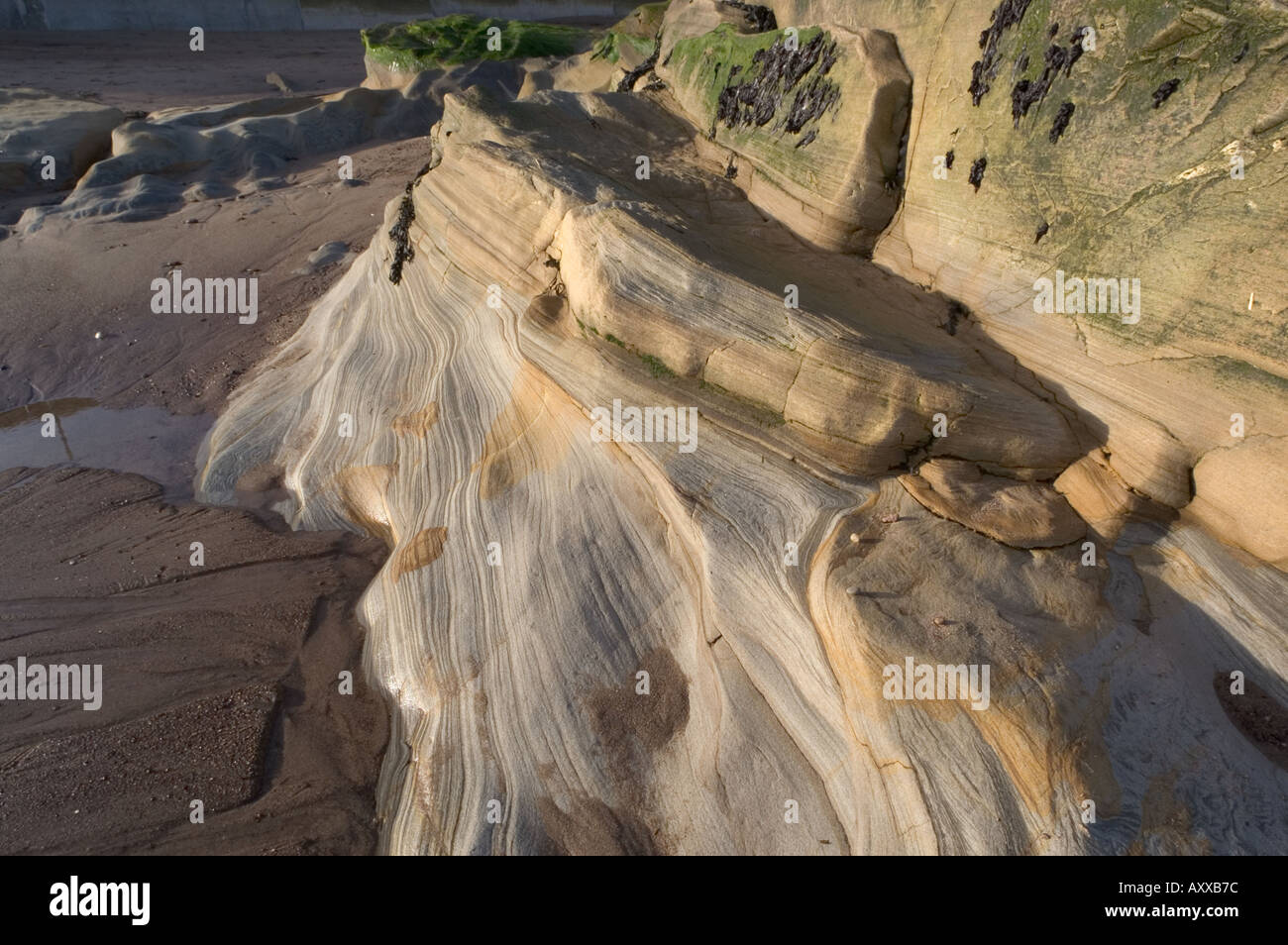 Inclined strata hi-res stock photography and images - Alamy