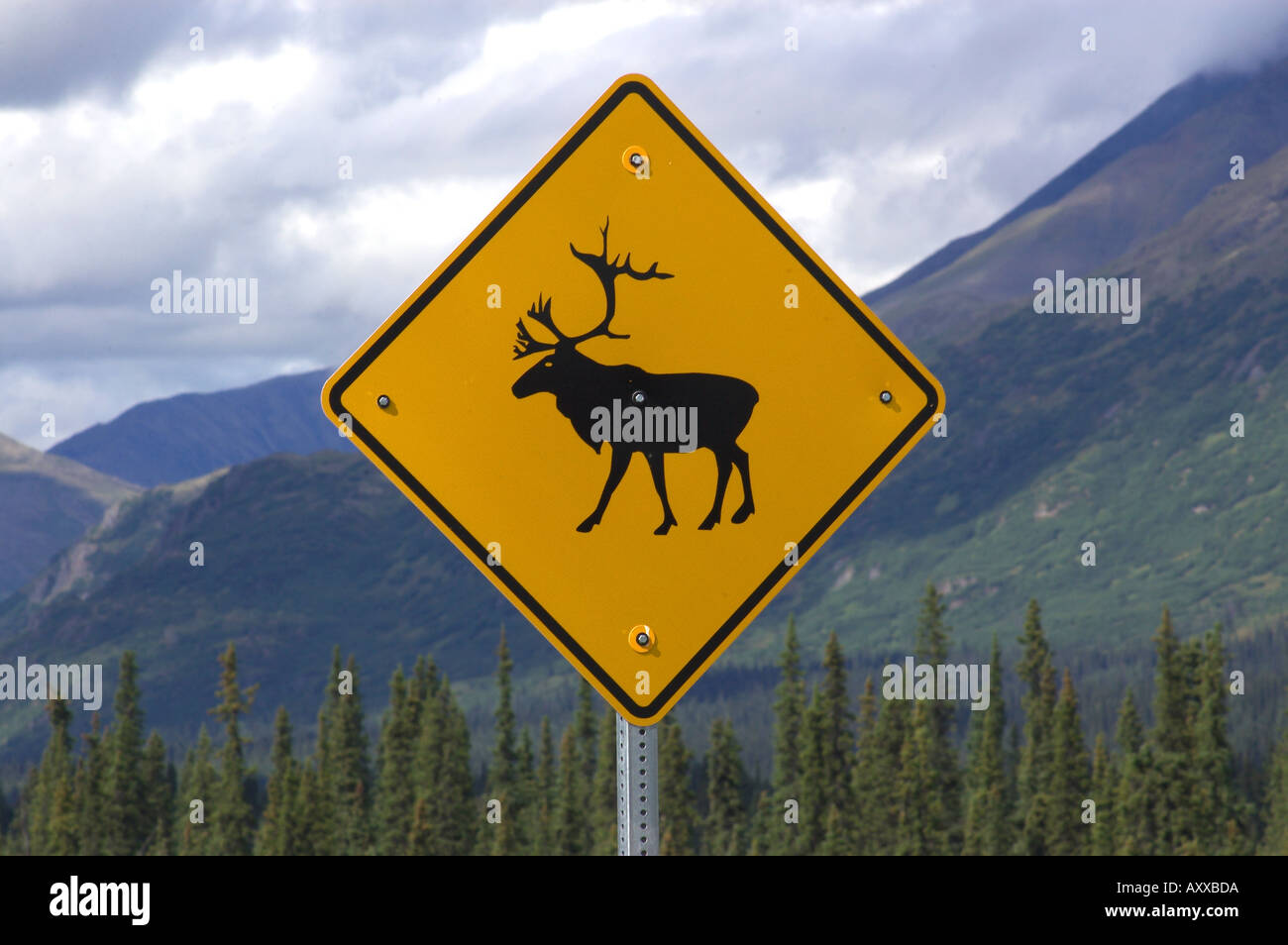 Caribou Warning Sign High Resolution Stock Photography and Images - Alamy