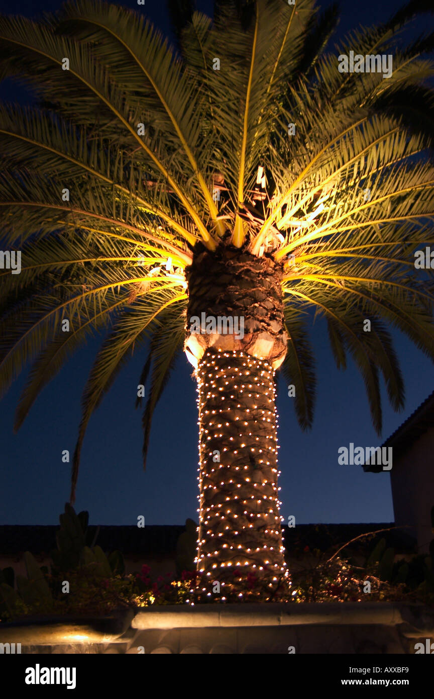 Palm tree christmas ornaments hi-res stock photography and images - Alamy