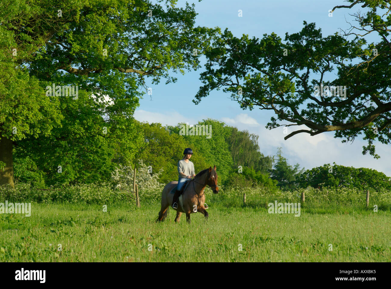 Rider equestrian england hi-res stock photography and images - Alamy