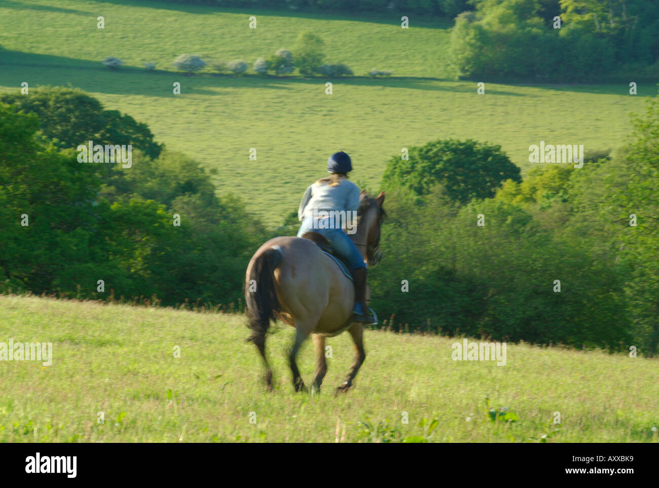 Rider equestrian england hi-res stock photography and images - Alamy