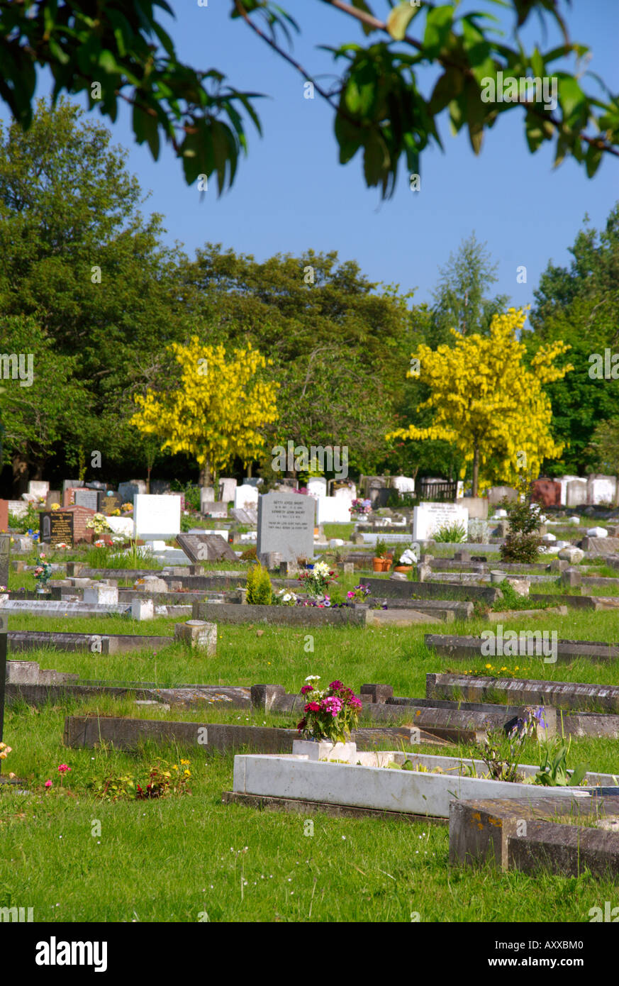 Cemetery Somerset England Uk High Resolution Stock Photography and ...