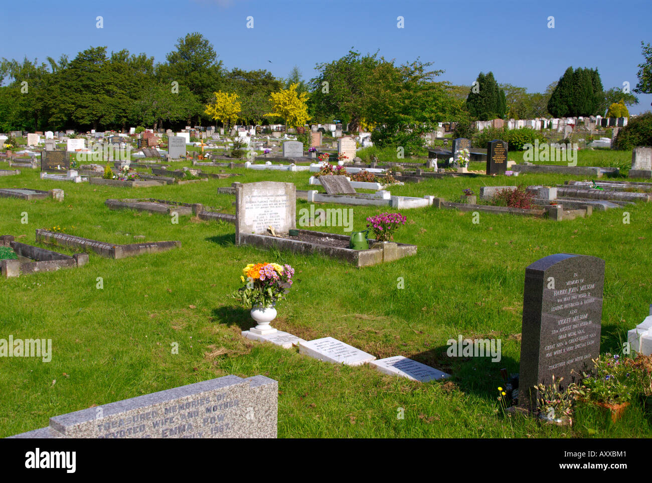 Europe Uk england somerset cemetery Stock Photo - Alamy