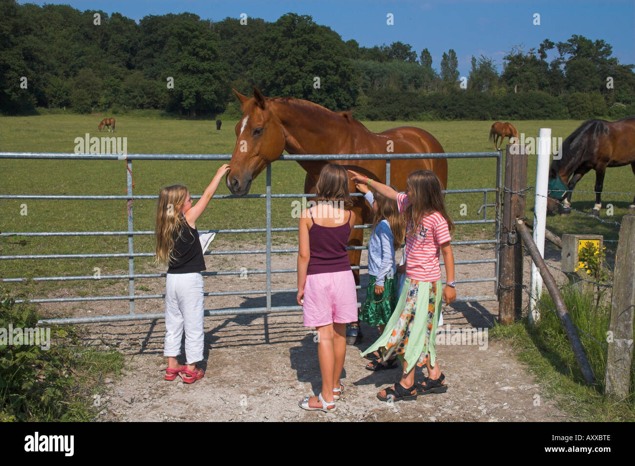 Children with horse hi-res stock photography and images - Alamy