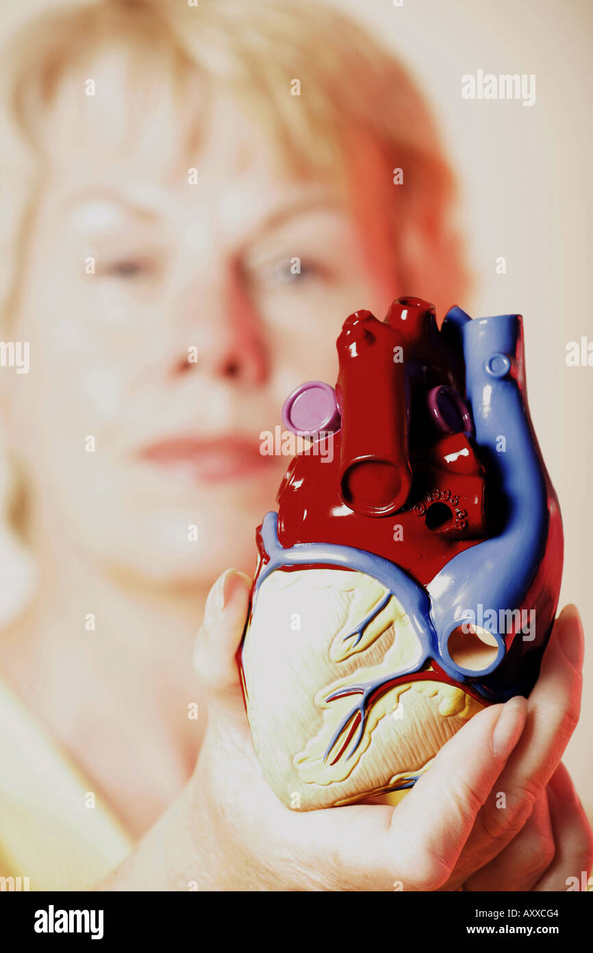 Human Heart Valves High Resolution Stock Photography and Images - Alamy