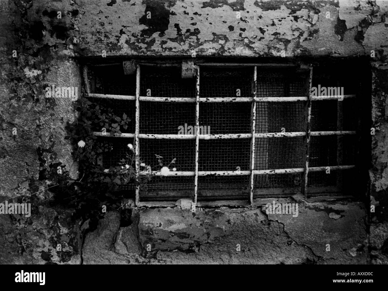 Sinop prison turkey hi-res stock photography and images - Alamy