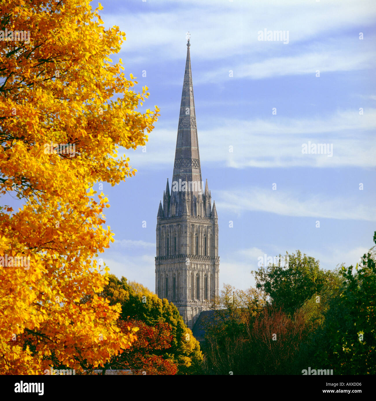 Salisbury Cathedral spire in autumn Wiltshire England Stock Photo - Alamy