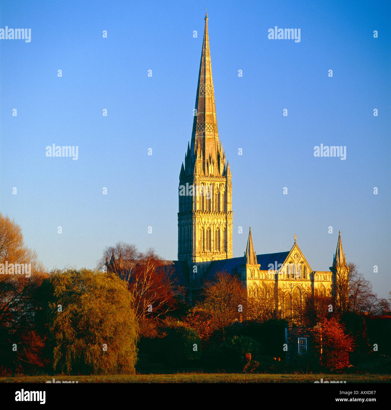 Salisbury cathedral in the autumn hi-res stock photography and images ...
