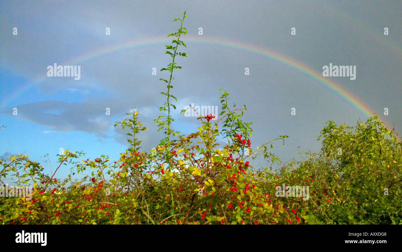 Surrey in colour hi-res stock photography and images - Alamy