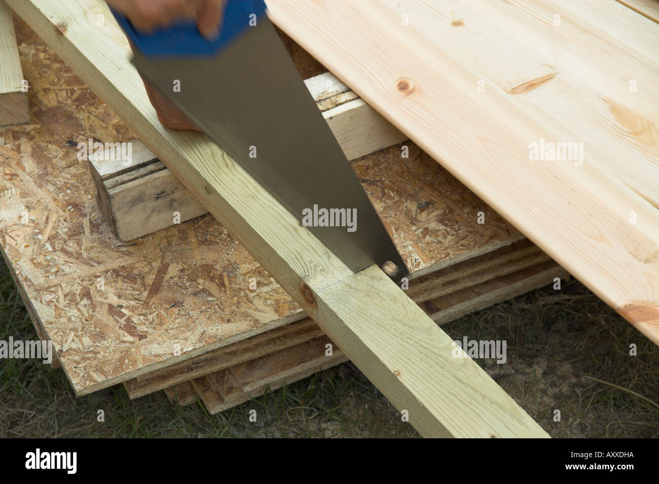 man sawing timber Stock Photo - Alamy
