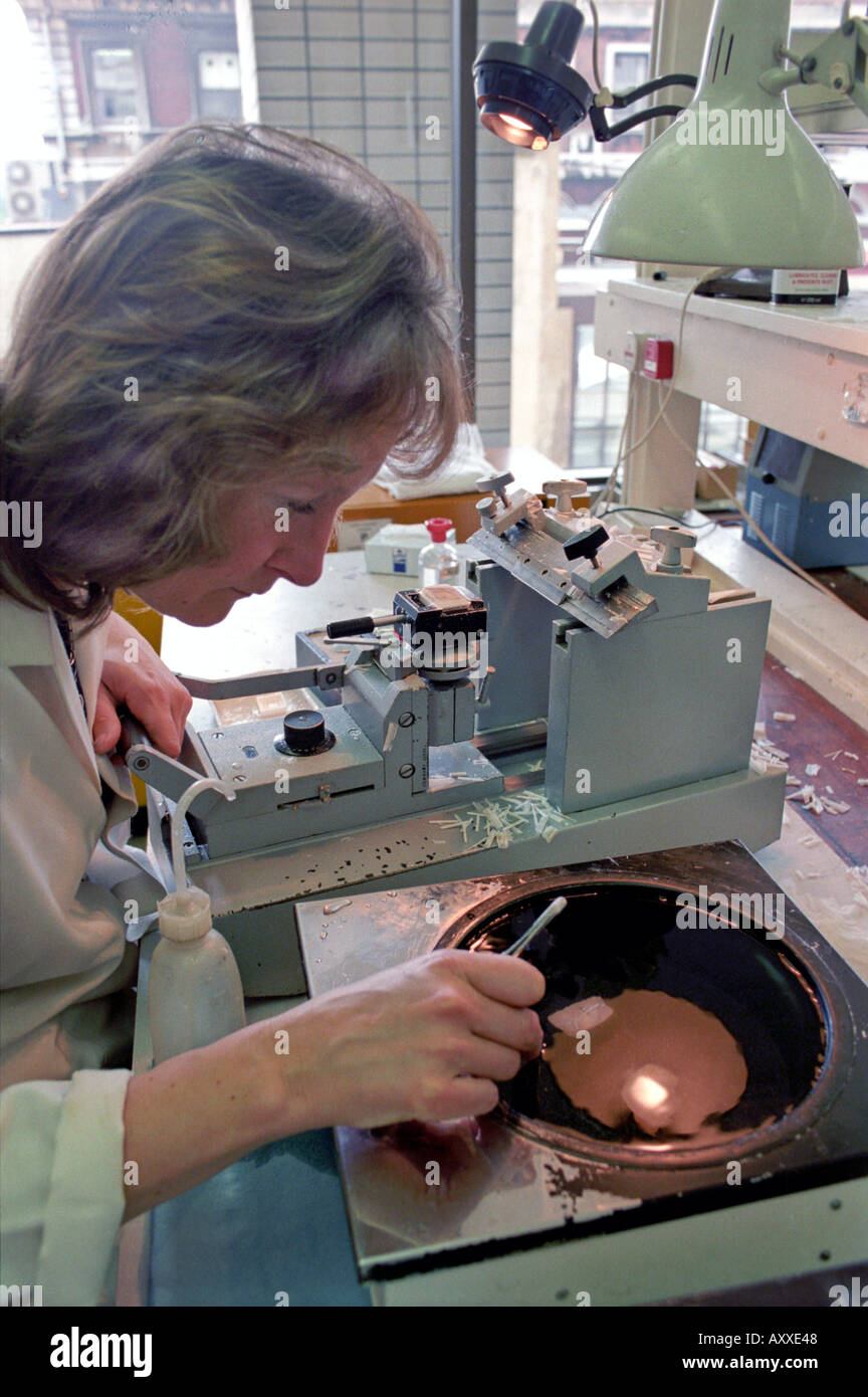 Female histology technician cutting sections of human tissue Stock ...