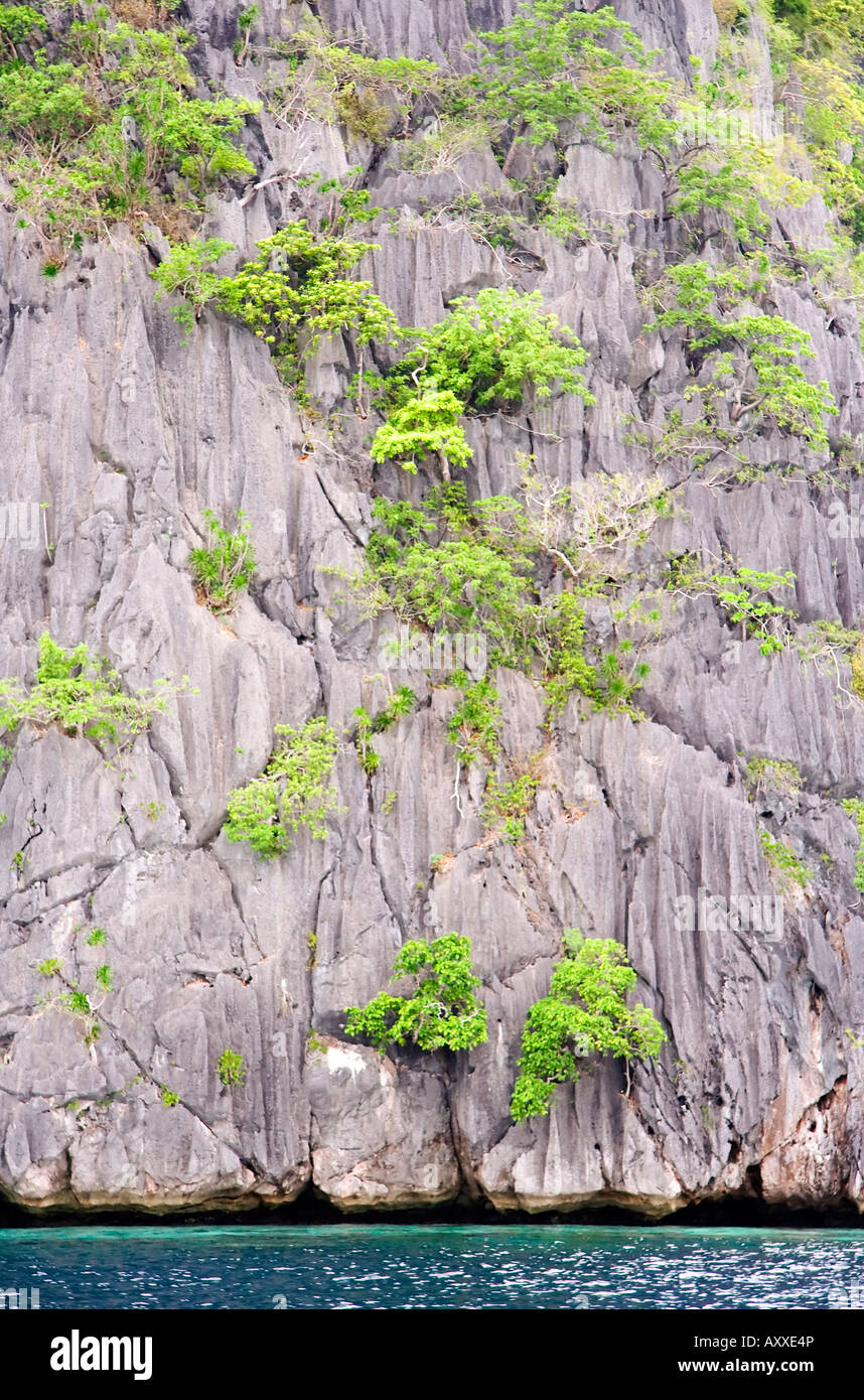 Island rock surface formation in Coron, Busuanga, Palawan Stock Photo ...