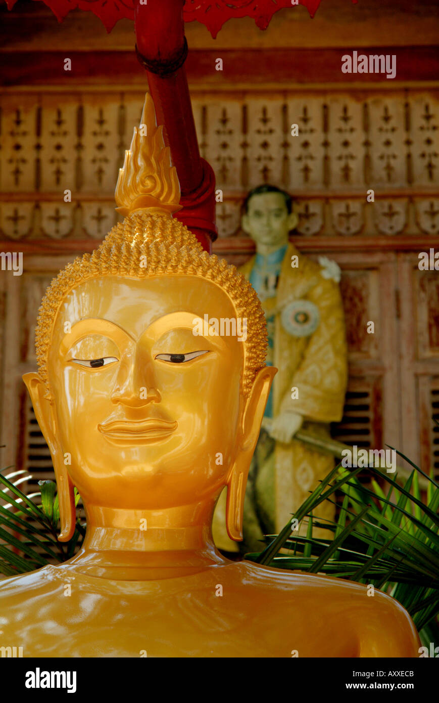 Buddha s head with portrait of King Bhumibol Adulyadej Rama 9 in the ...