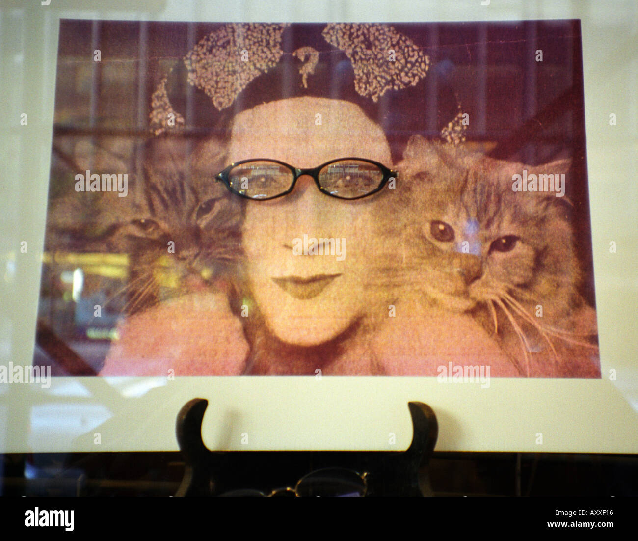 An opticians window display New York City USA Stock Photo - Alamy