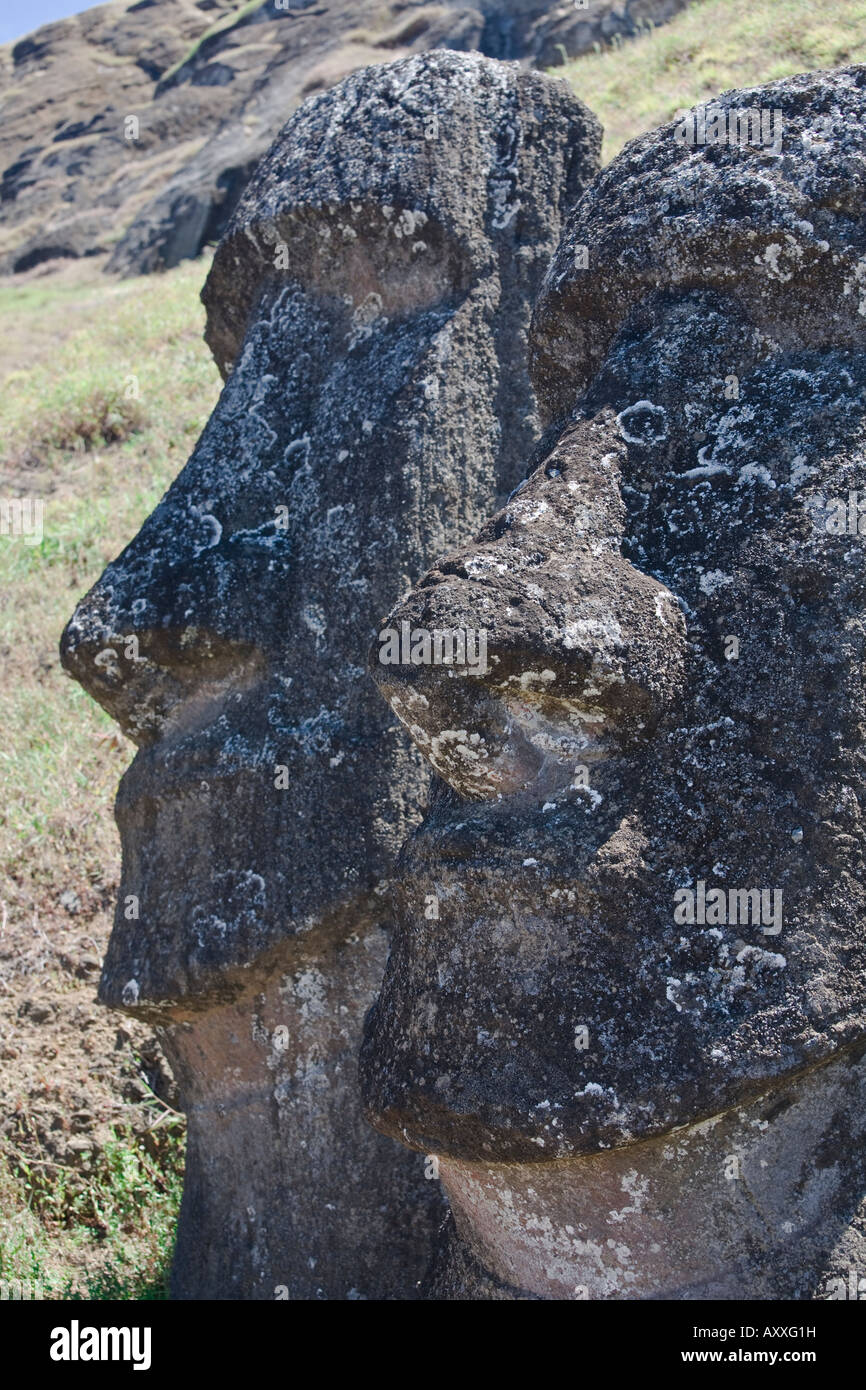 Moai in various stages of completion littered around the hillside of ...