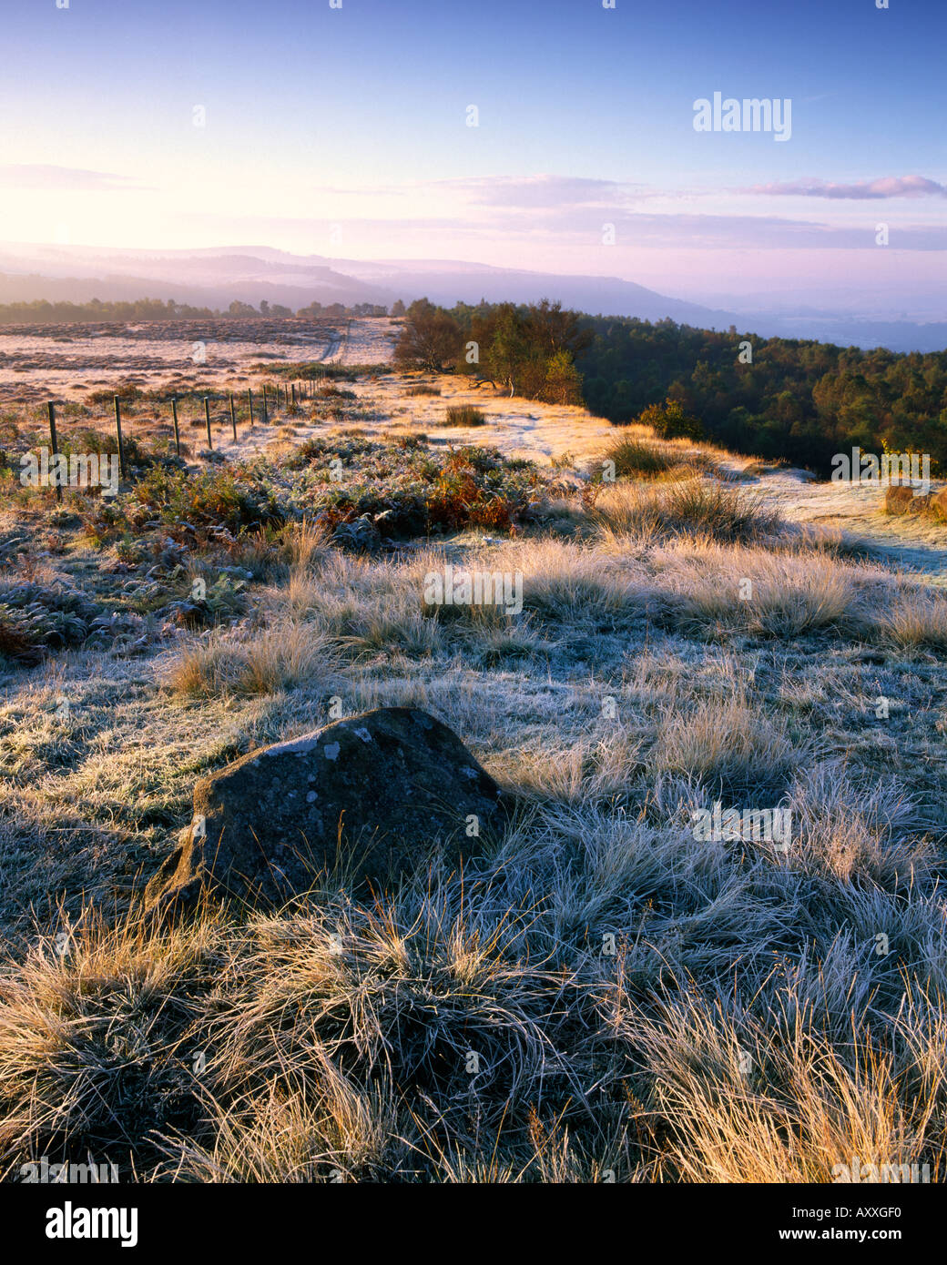 The edge of Lawrence field overlooking Bole hill wood on the Longshaw ...