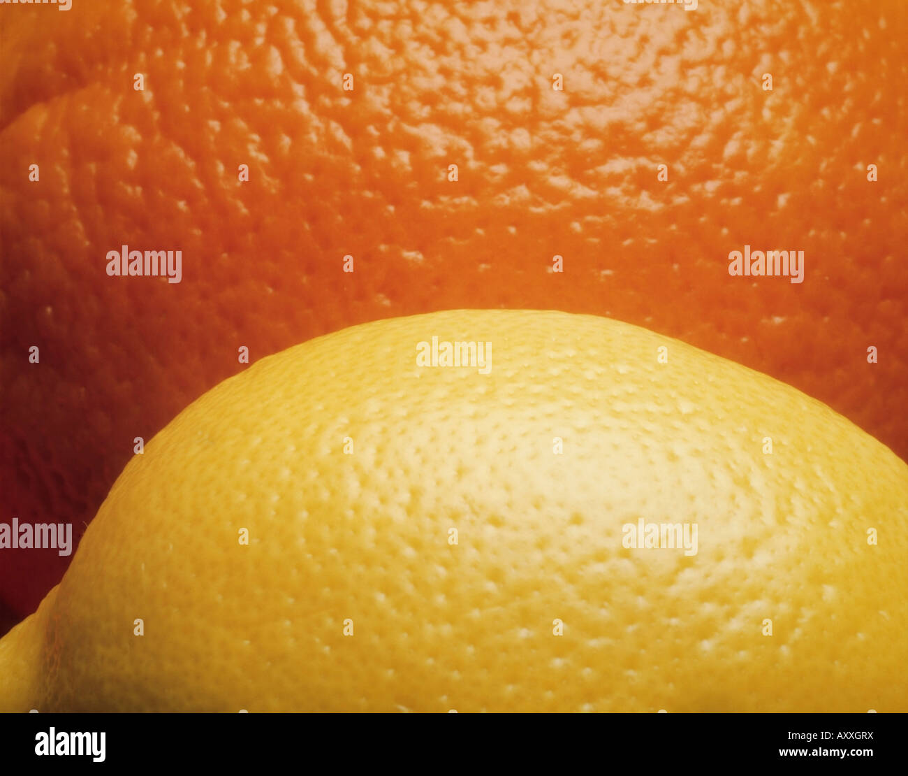Lemon & orange, Lemon, &, orange, Citrus limon & citrus sinensis ...