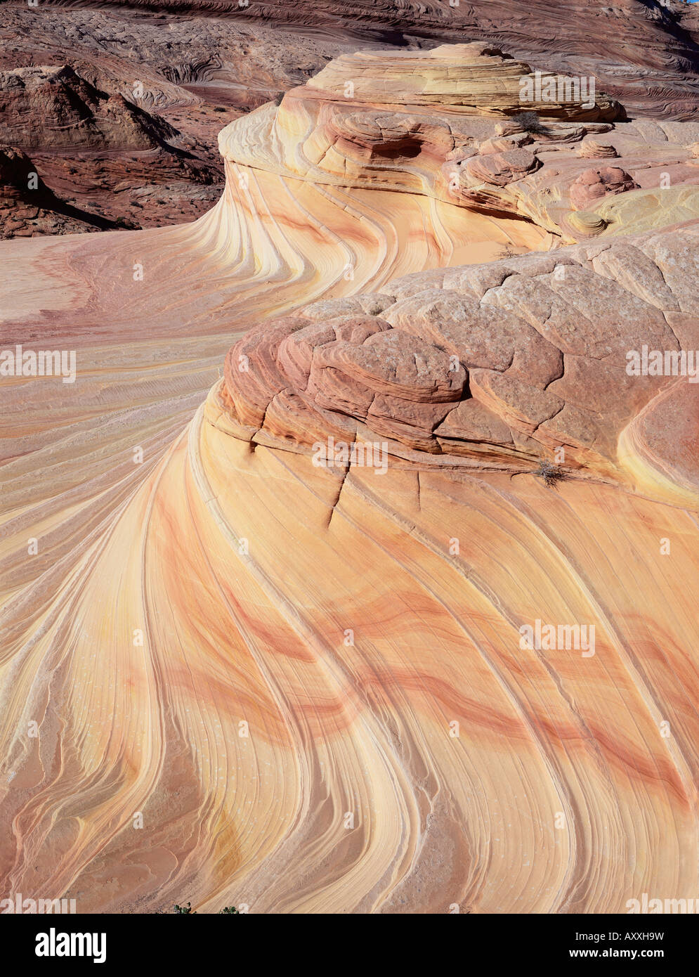 Rock formation known as Swirls, on Colorado Plateau, Arizona, United ...