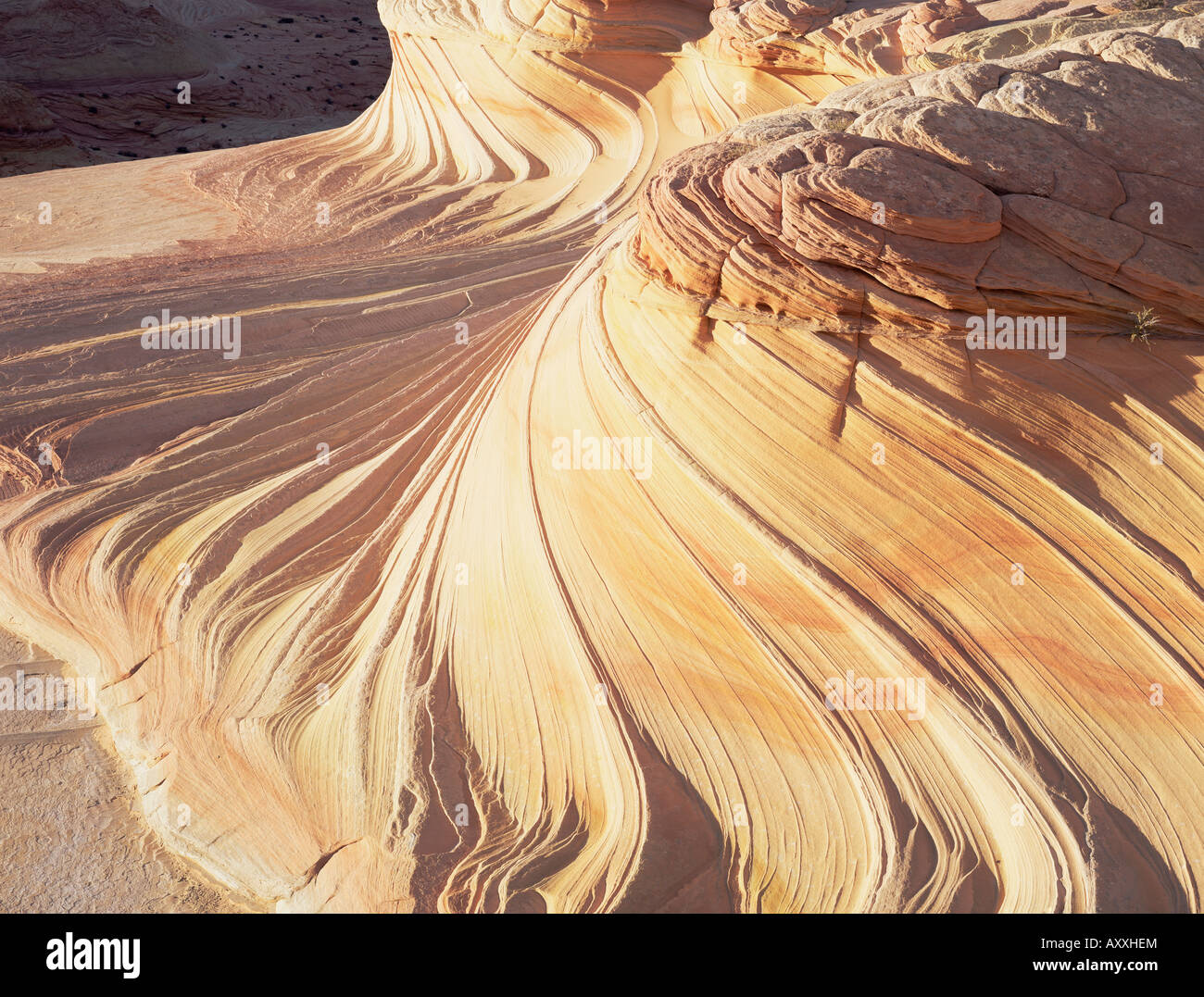 Rock formation known as Swirls, on Colorado Plateau, Arizona, United ...
