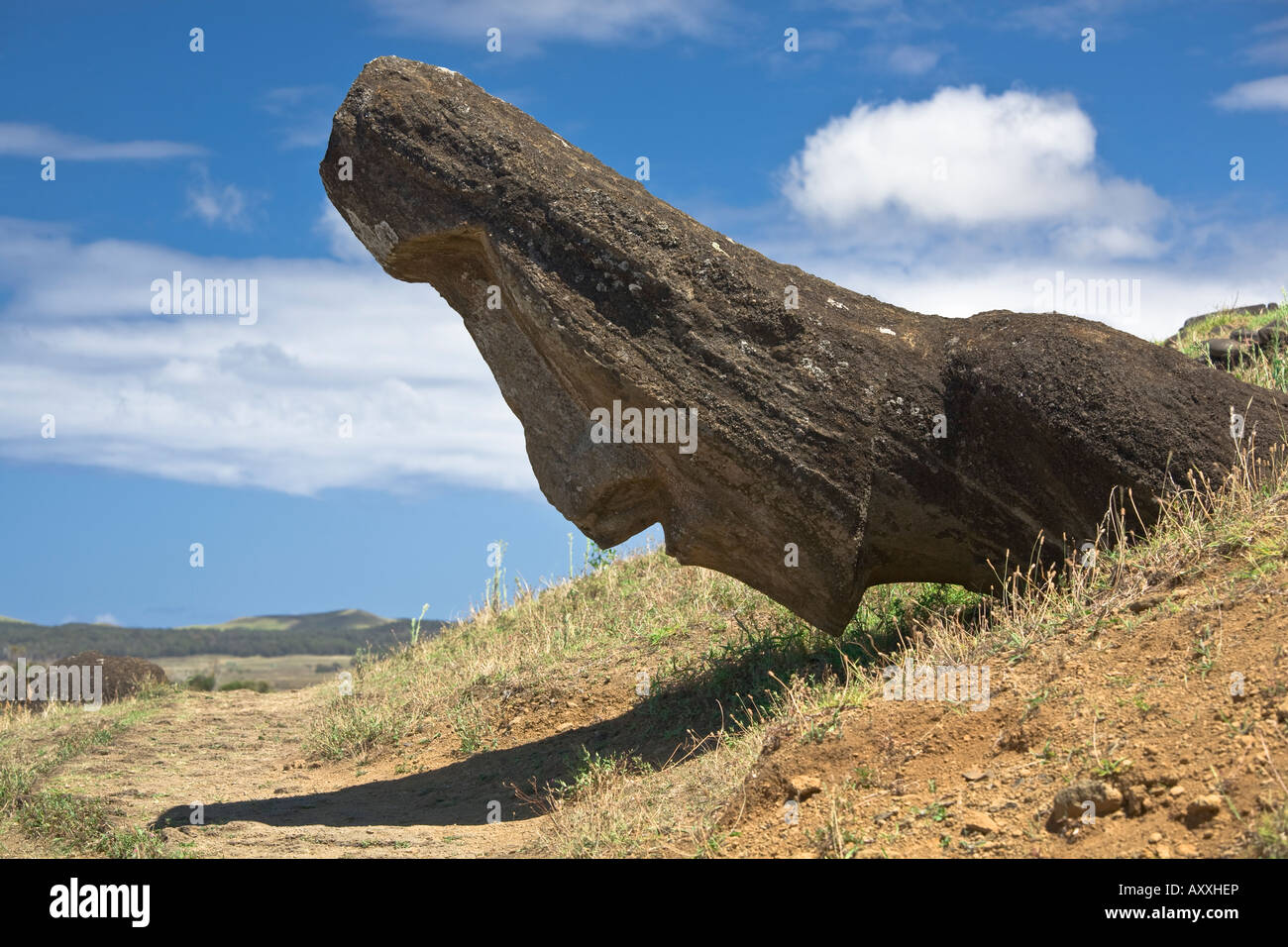 Moai in various stages of completion littered around the hillside of ...