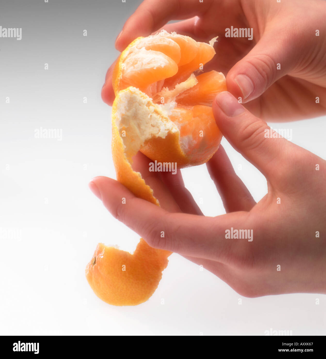 Clementine peeled and being broken open by two hands Stock Photo - Alamy