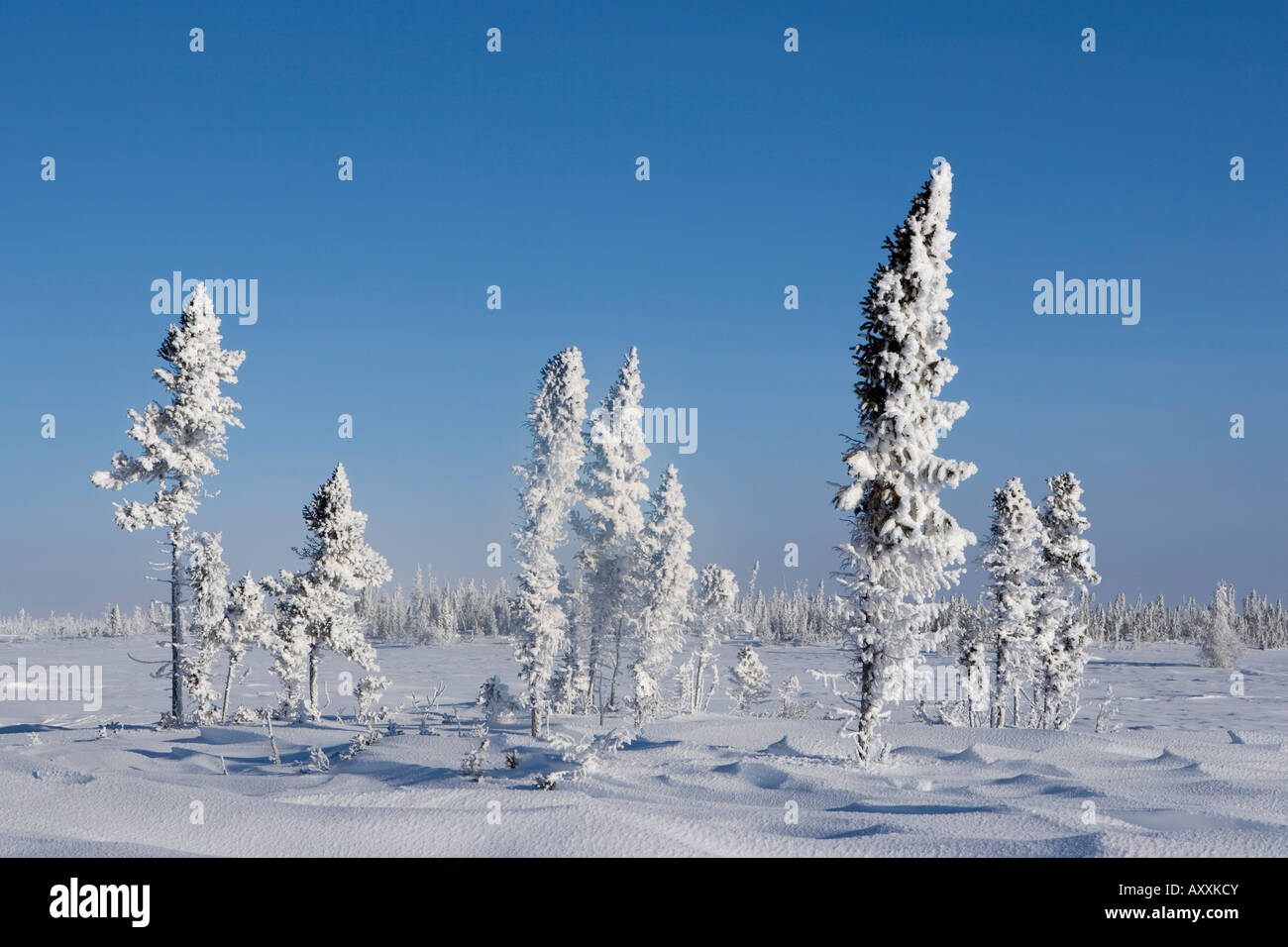 Canada manitoba landscape hi-res stock photography and images - Alamy
