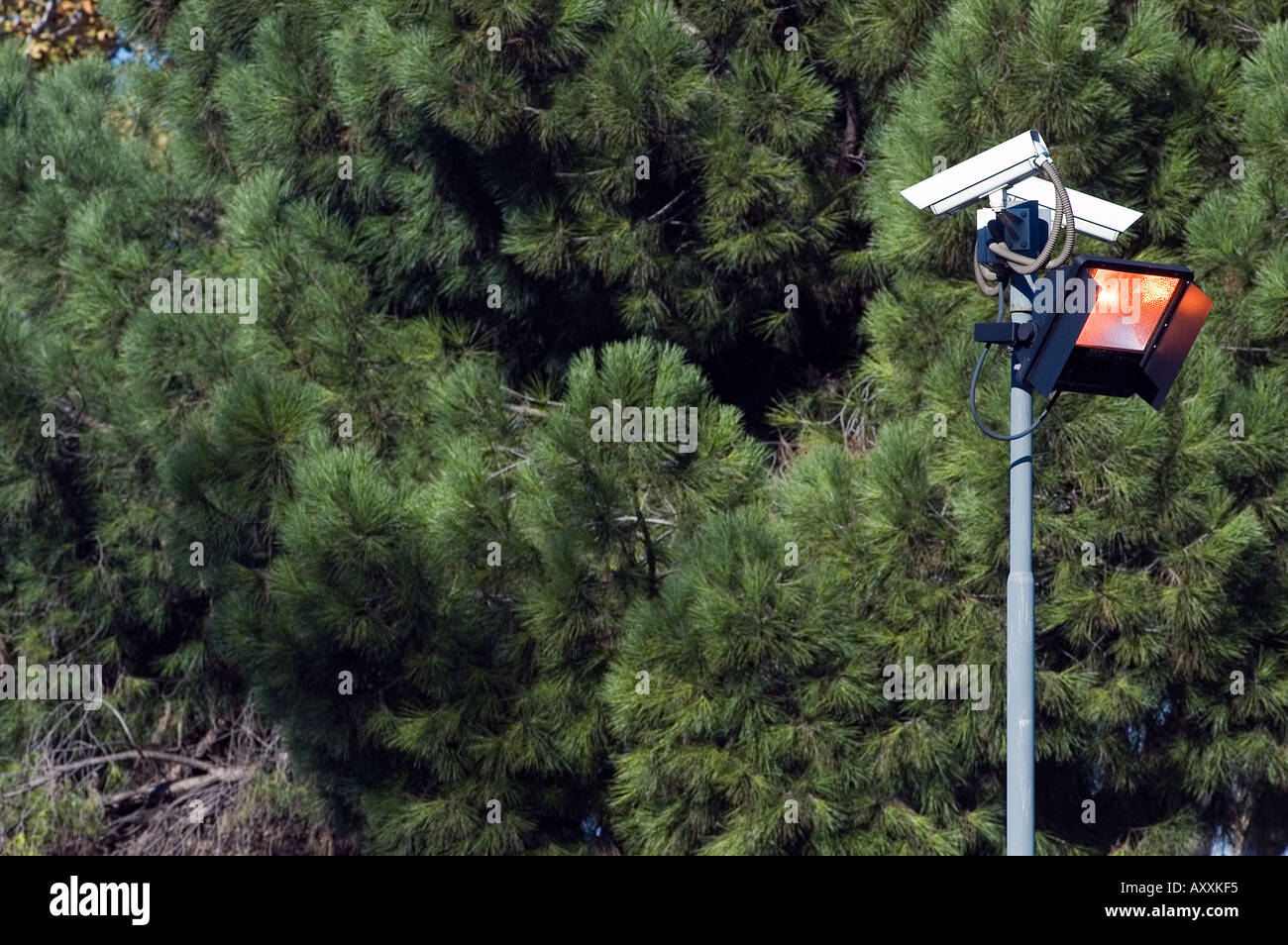 cctv camera and trees Stock Photo - Alamy