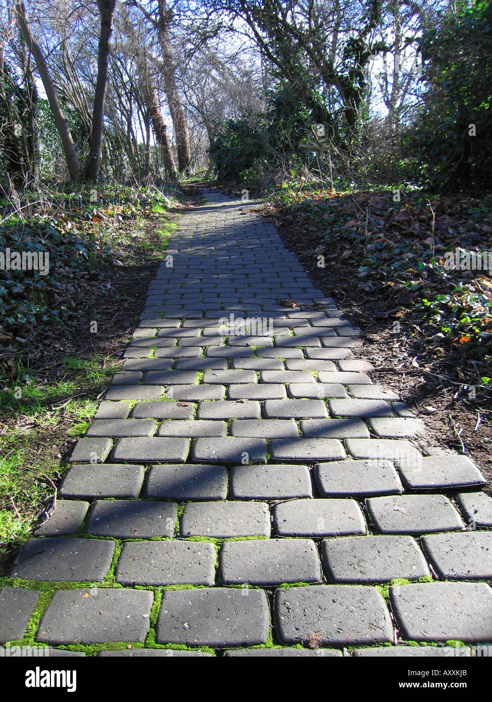Cobble stone setts hi-res stock photography and images - Alamy