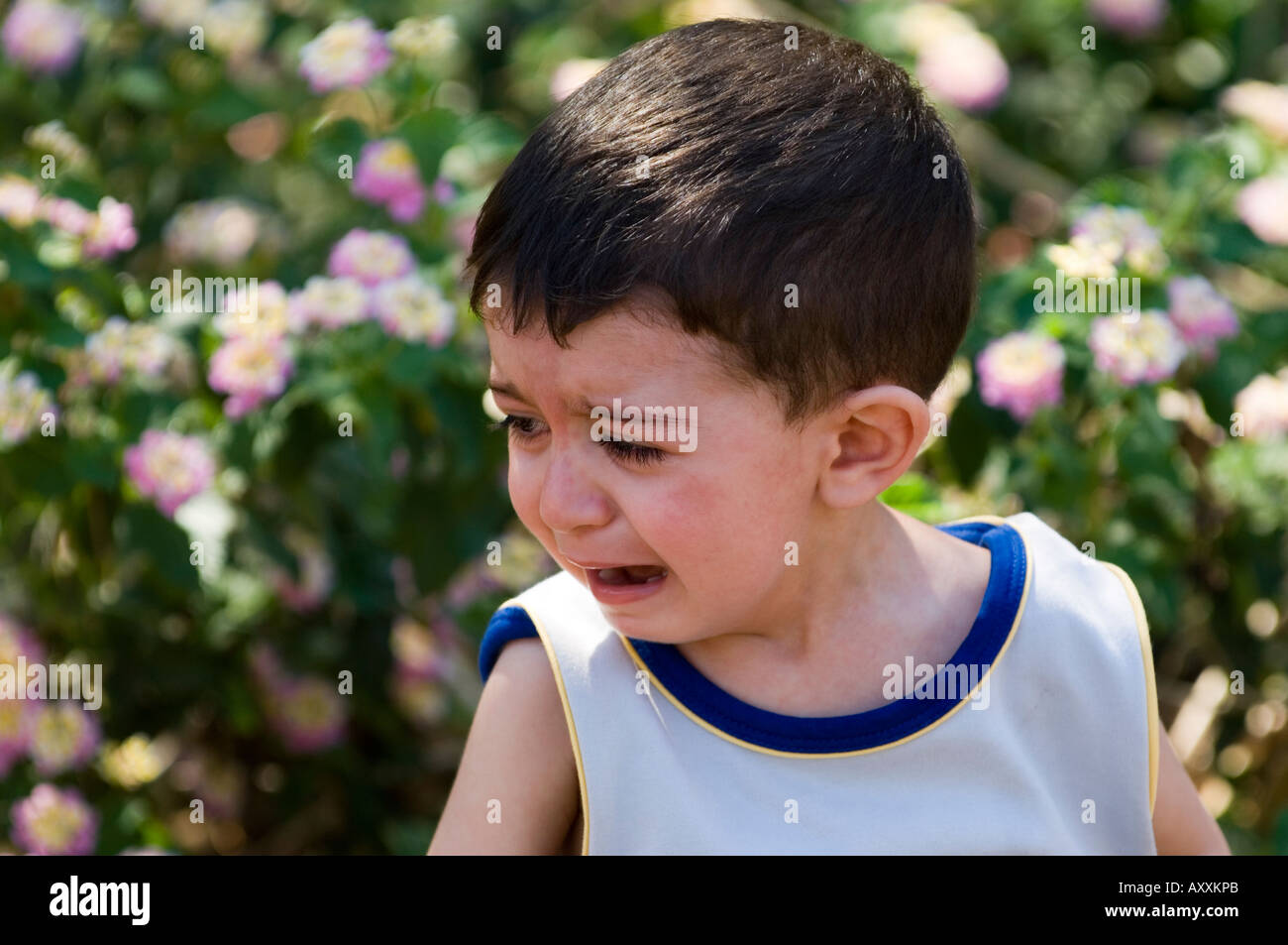Young boy crying in the park Stock Photo - Alamy