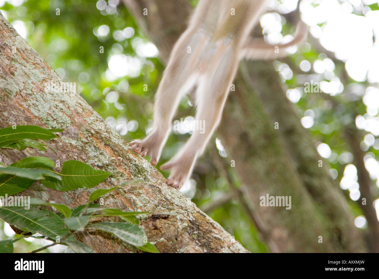 Gone country hi-res stock photography and images - Alamy