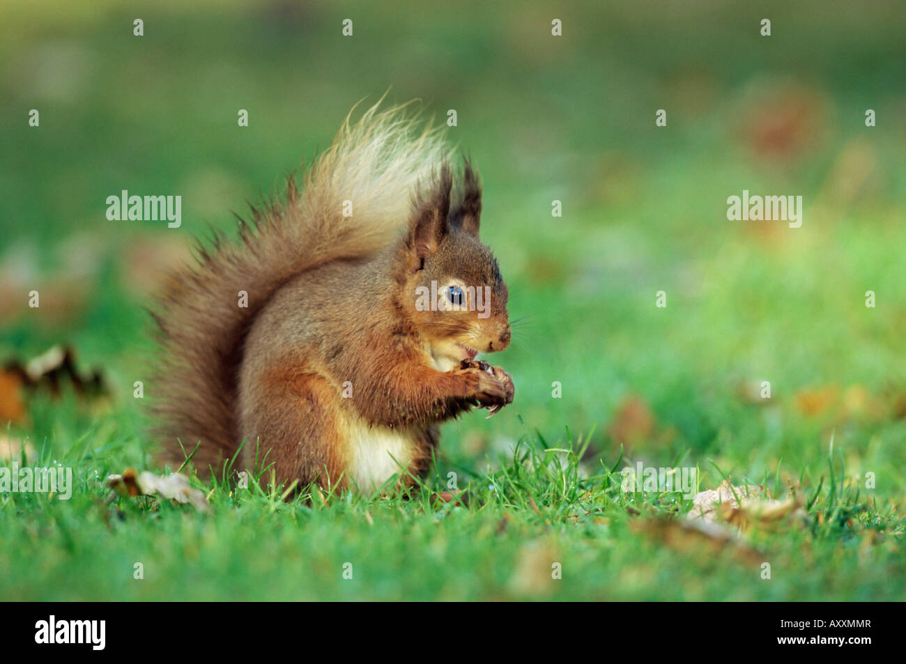 Penrith hi-res stock photography and images - Alamy