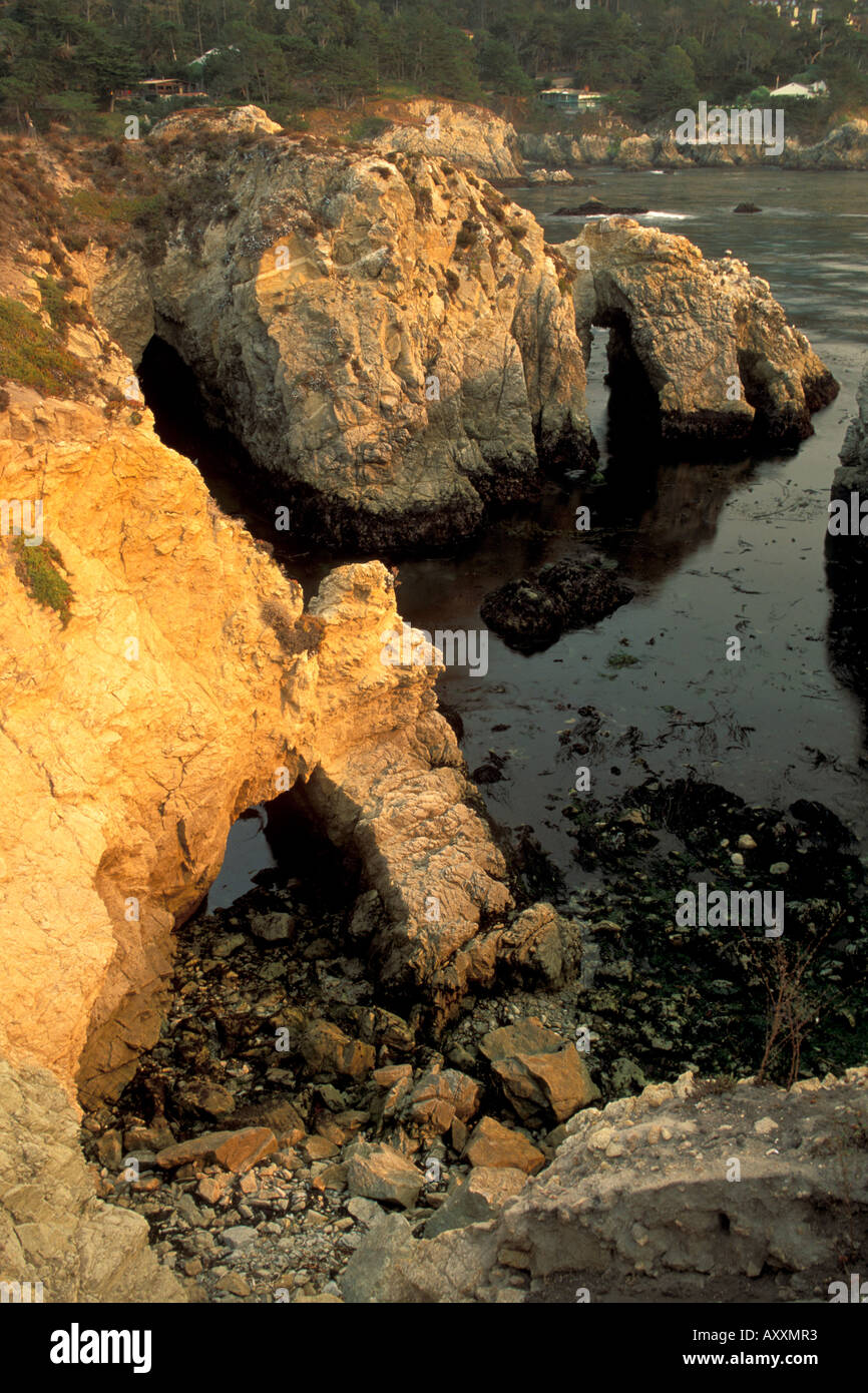 Point lobos state natural preserve hi-res stock photography and images ...