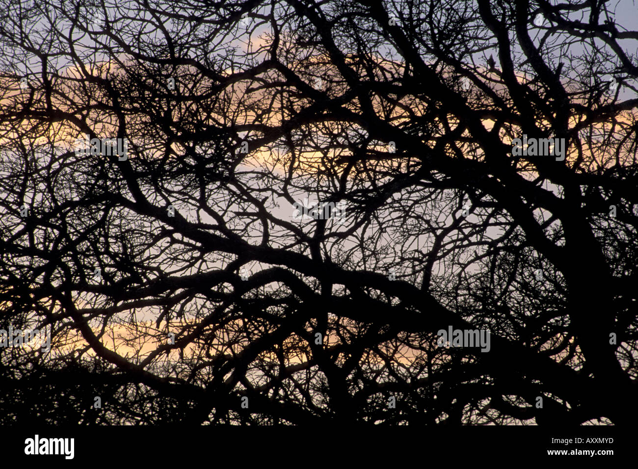 Briones Regional Park High Resolution Stock Photography and Images - Alamy