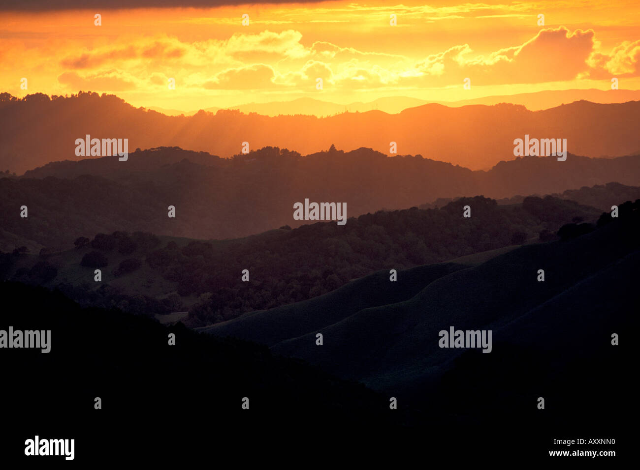 Golden sunset light over the Berkely Hills from Briones Regional Park ...