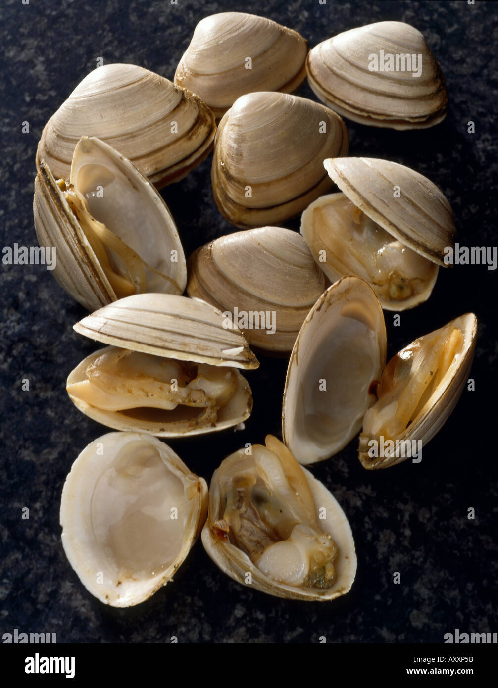 Grey b hi-res stock photography and images - Alamy