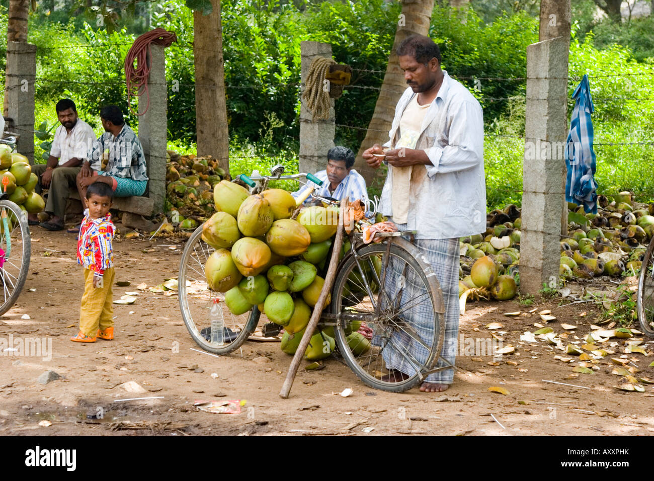 Man selling coconuts at a stall by the roadside in India Stock Photo ...