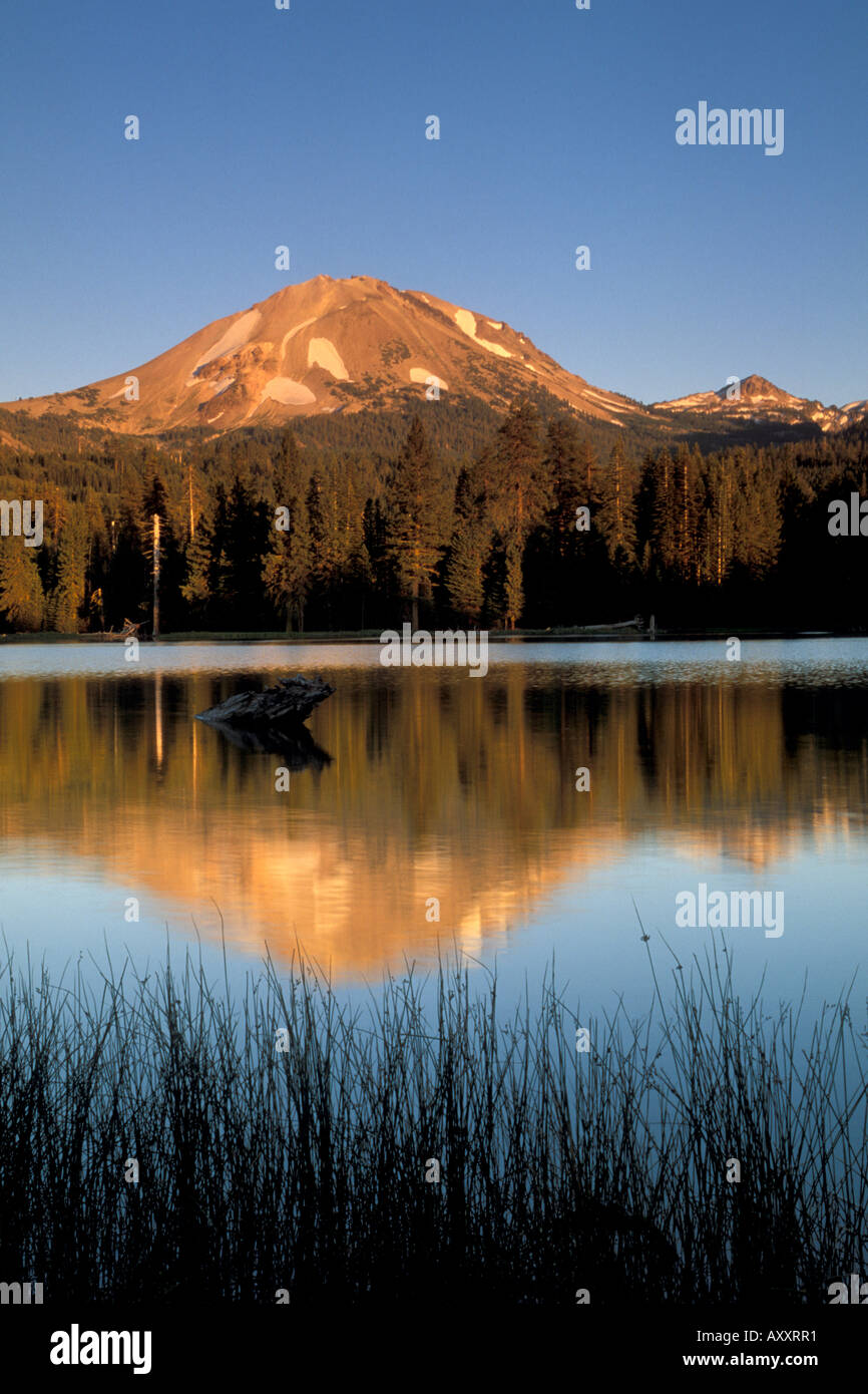 Mount Lassen Volcano At Sunset Reflection In Calm Water Of Manzanita