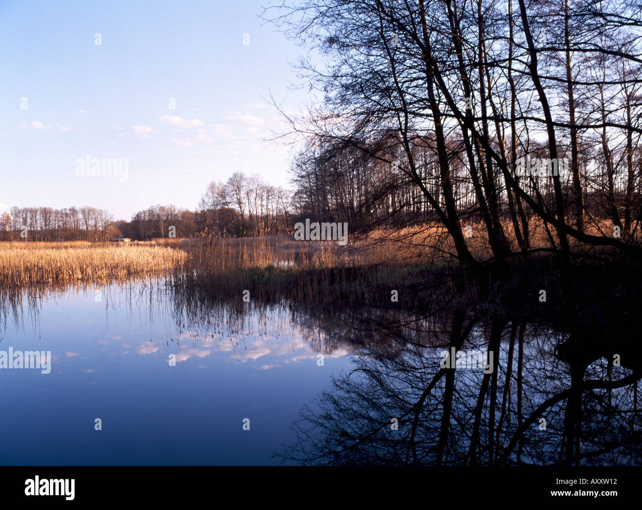 Forst lausitz hi-res stock photography and images - Alamy