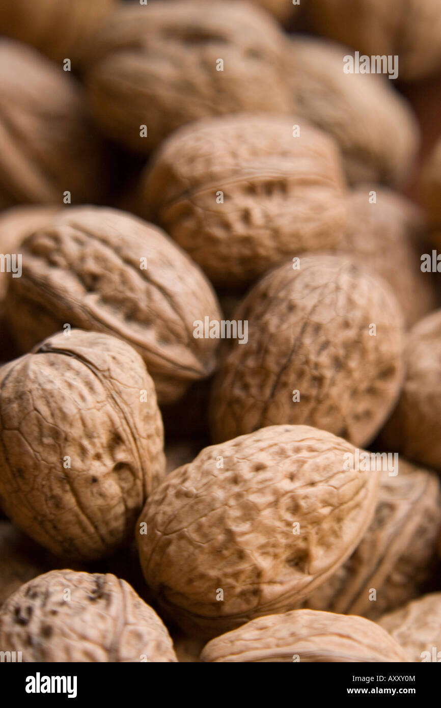 Botanical nut patterns hi-res stock photography and images - Alamy