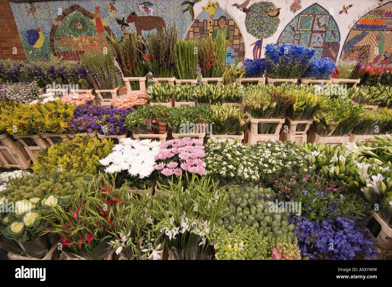 Flower stall in street market hi-res stock photography and images - Alamy