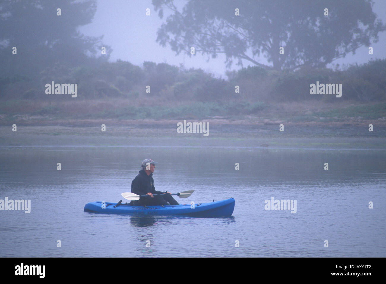 Kayaker in kayak in calm still water of estuary in fog Morro Bay State ...