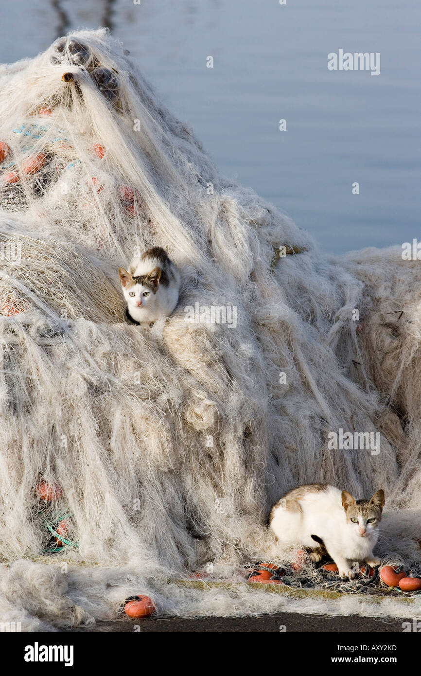 Port of Houmt Souk Djerba island Tunisia Stock Photo - Alamy